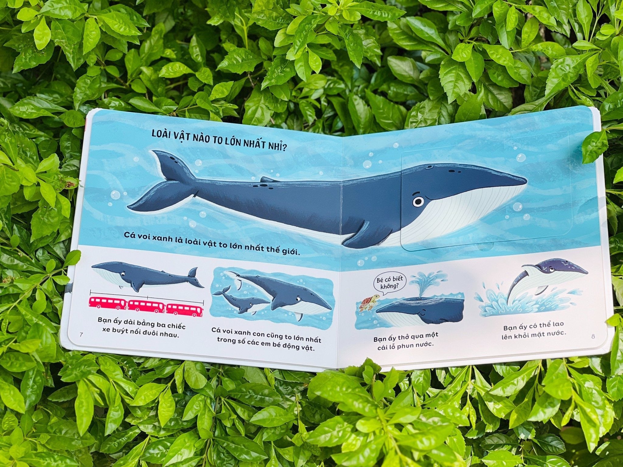 Viet Bookstore - Sách và Truyện Tranh Việt Tại Mỹ – Viet BookStore